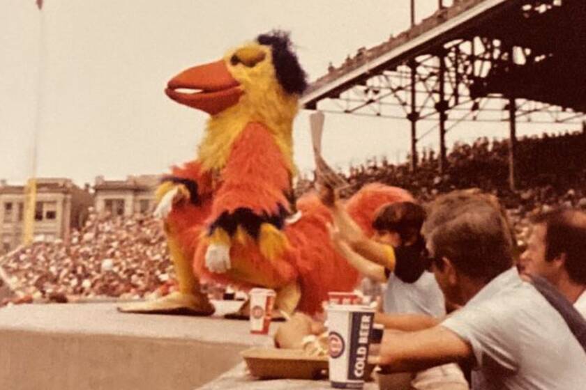 The Most Legendary Mascot in Sports History – The Chicken