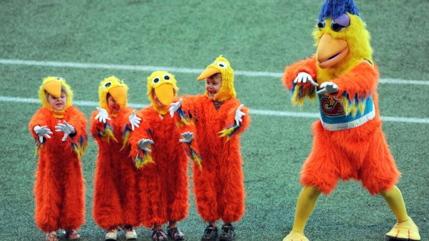 The Most Legendary Mascot in Sports History – The Chicken